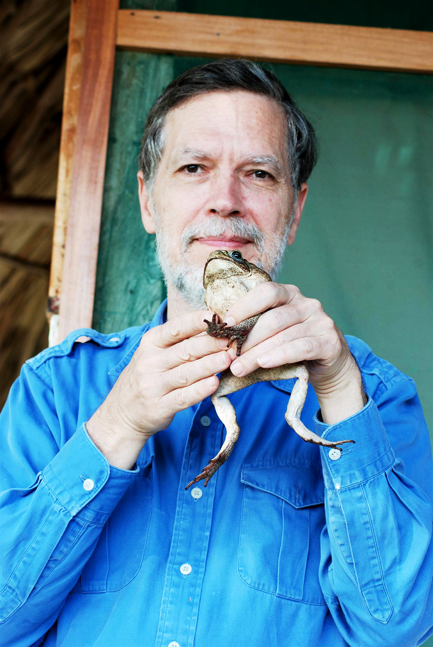 Toad, Bufo Marinus - MayanToons
