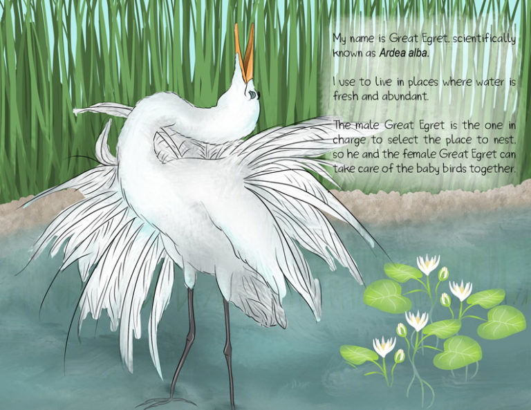 Water Birds Talent Pageant - MayanToons